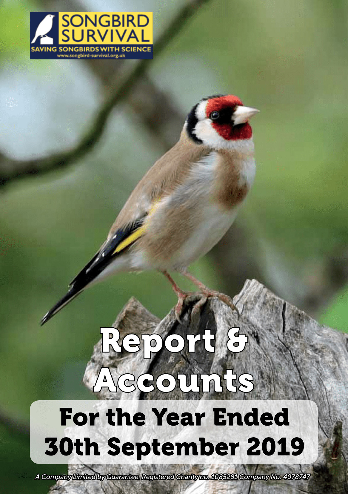 Report and Accounts | SongBird Survival