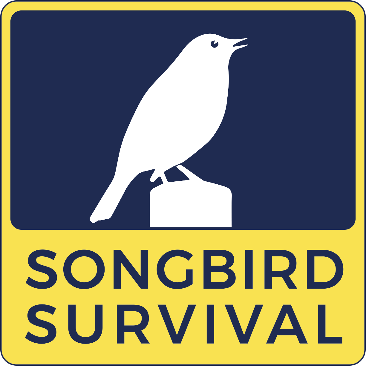 Songbird a-z and facts | SongBird Survival