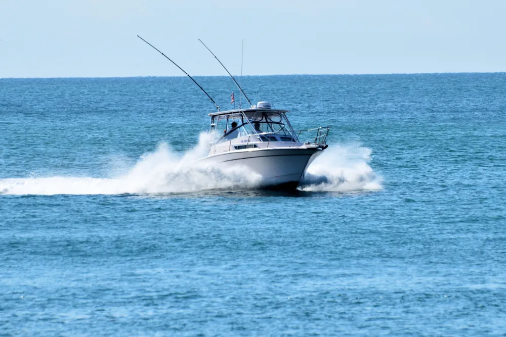 Fast Fisher Insurance | Quotes In Under 2 Minutes | InsureMy