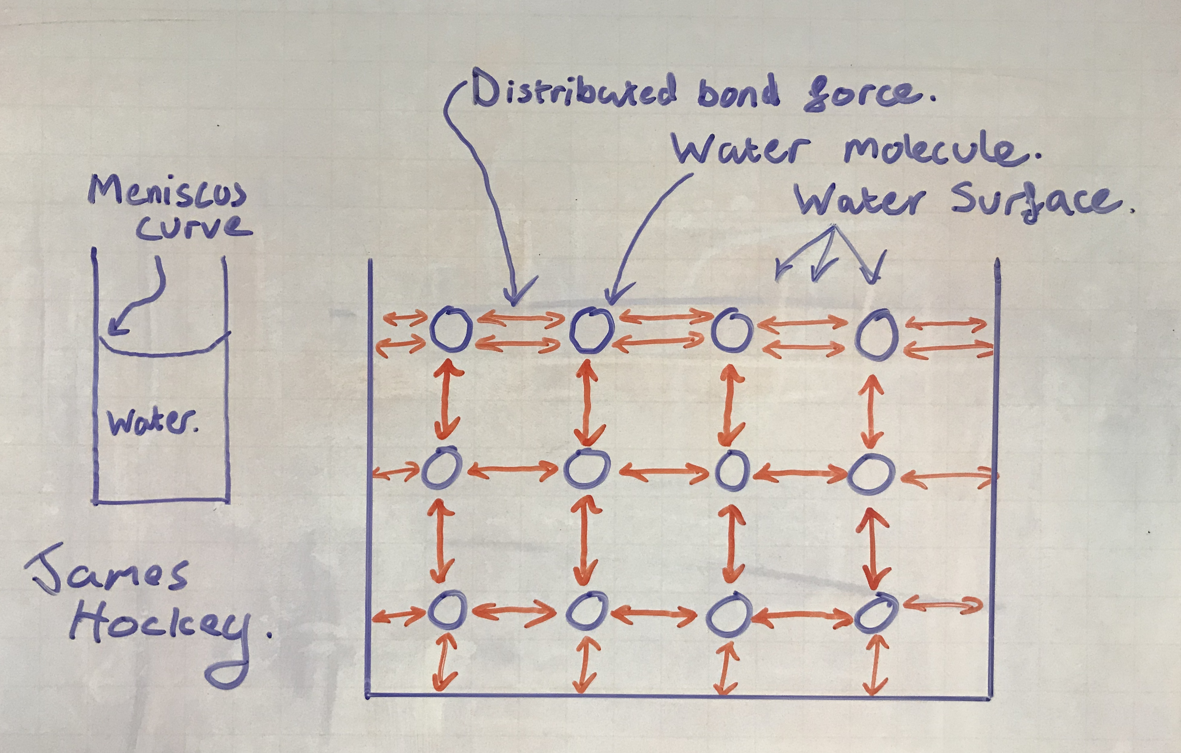 How does damp rise?