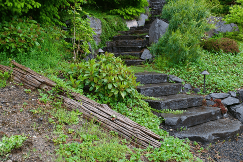 Irregular Steps | Castohn