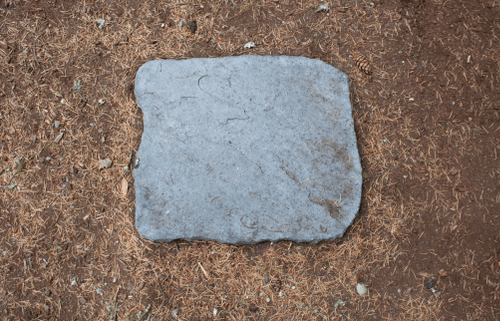 Path & Stepping Stones | Castohn