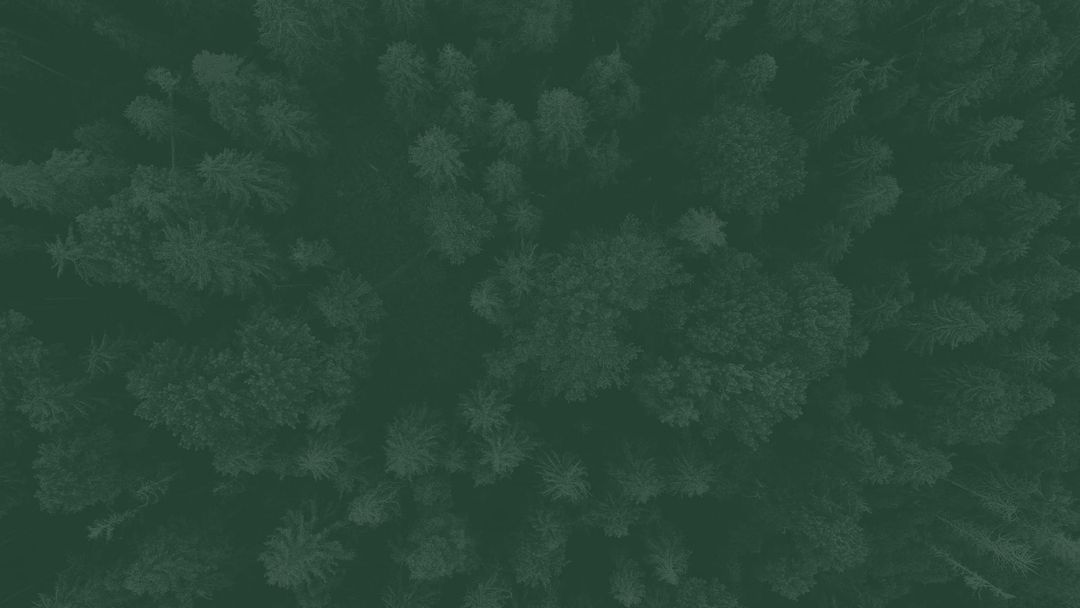 Kirkoswald Capital Partners LLP