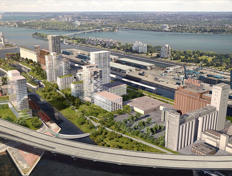 Vision Bridge-Bonaventure