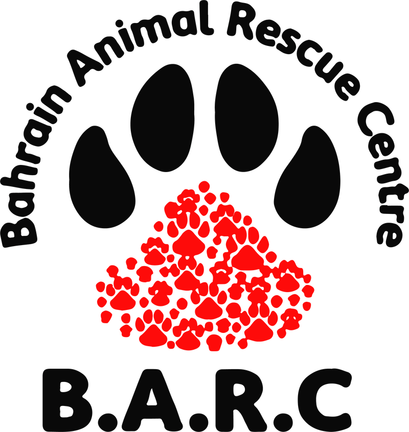Adopt a Rescue Animal | BARC