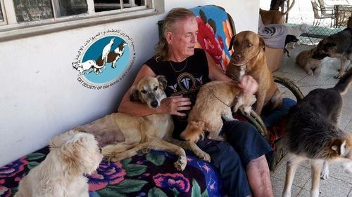 Adopt a Rescue Animal | BARC