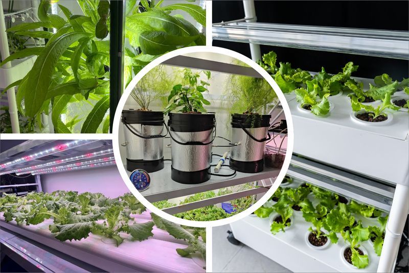 Grow Smarter with Elfsys