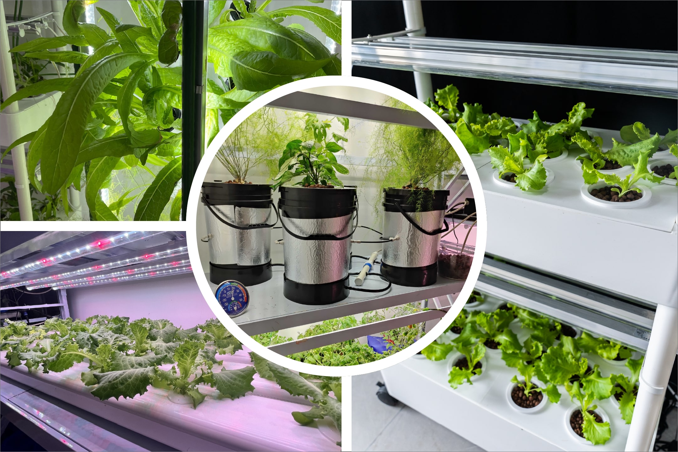 Grow Smarter with Elfsys