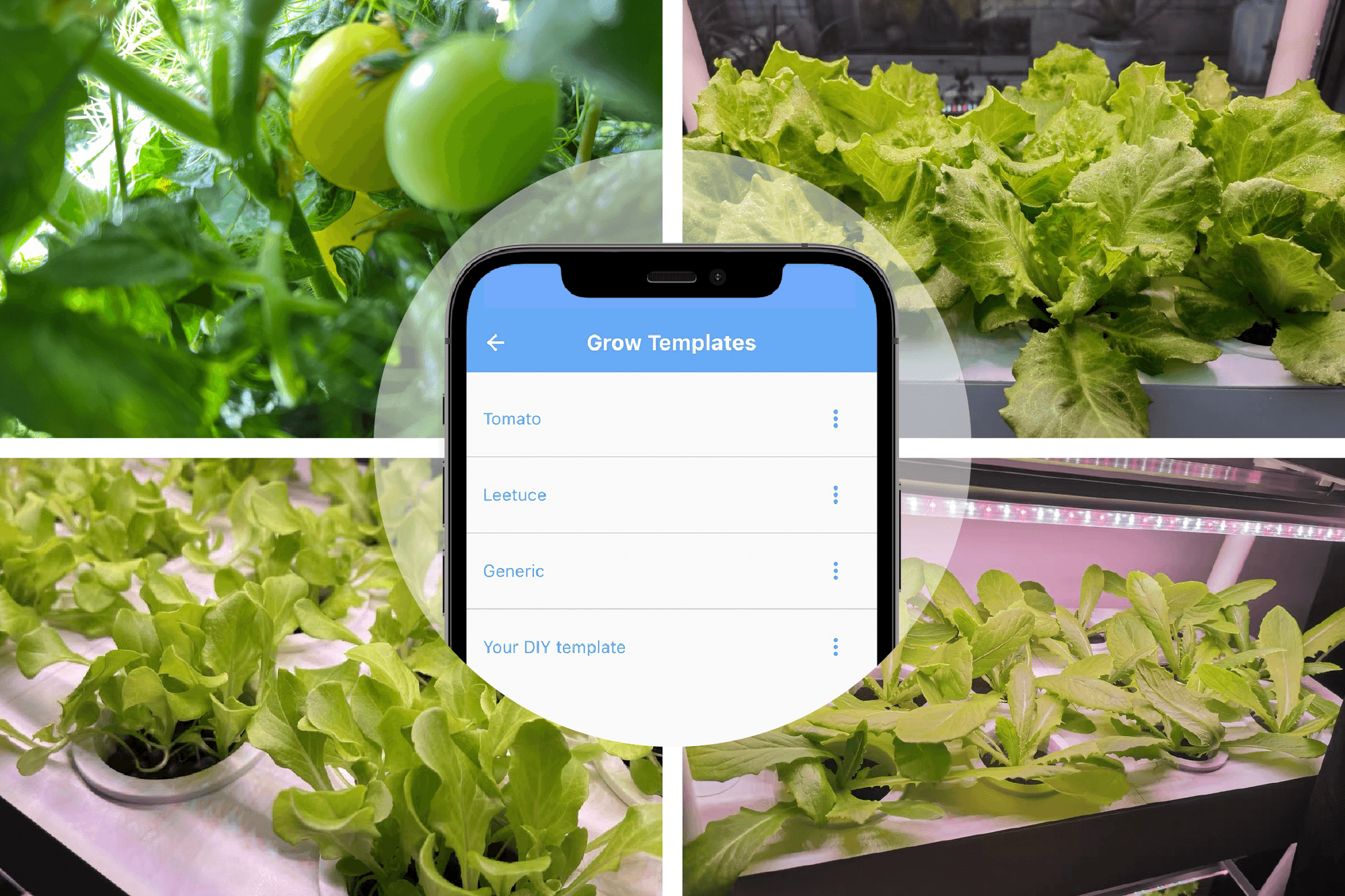 Grow Smarter with Elfsys