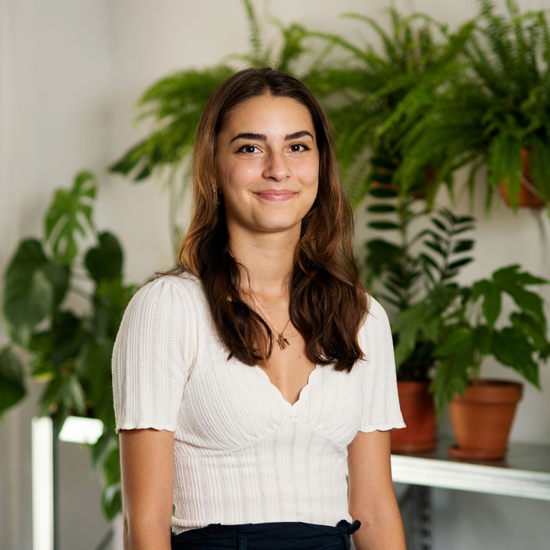 SIRIS Academic - Team