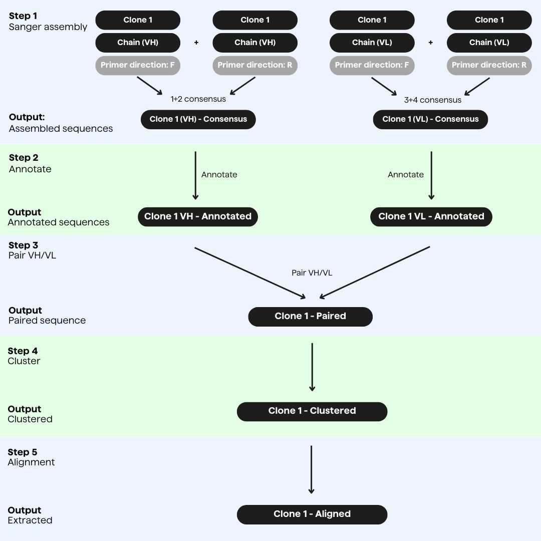 Sanger sequence analysis