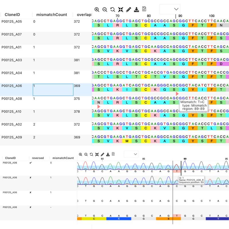 Sanger sequence analysis