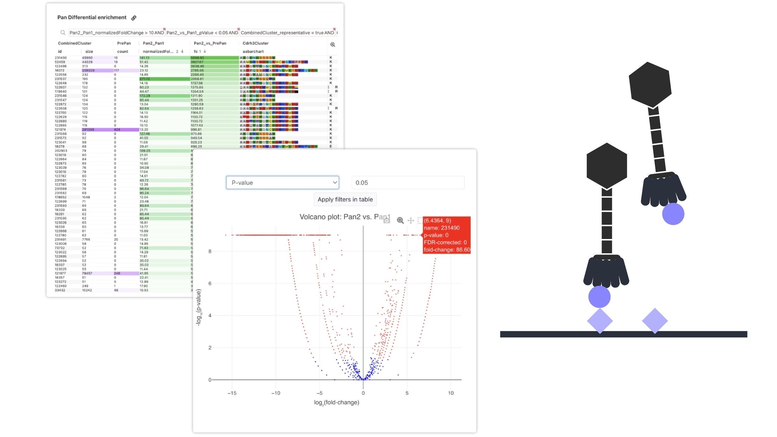 Selecting antibodies with phage display technology