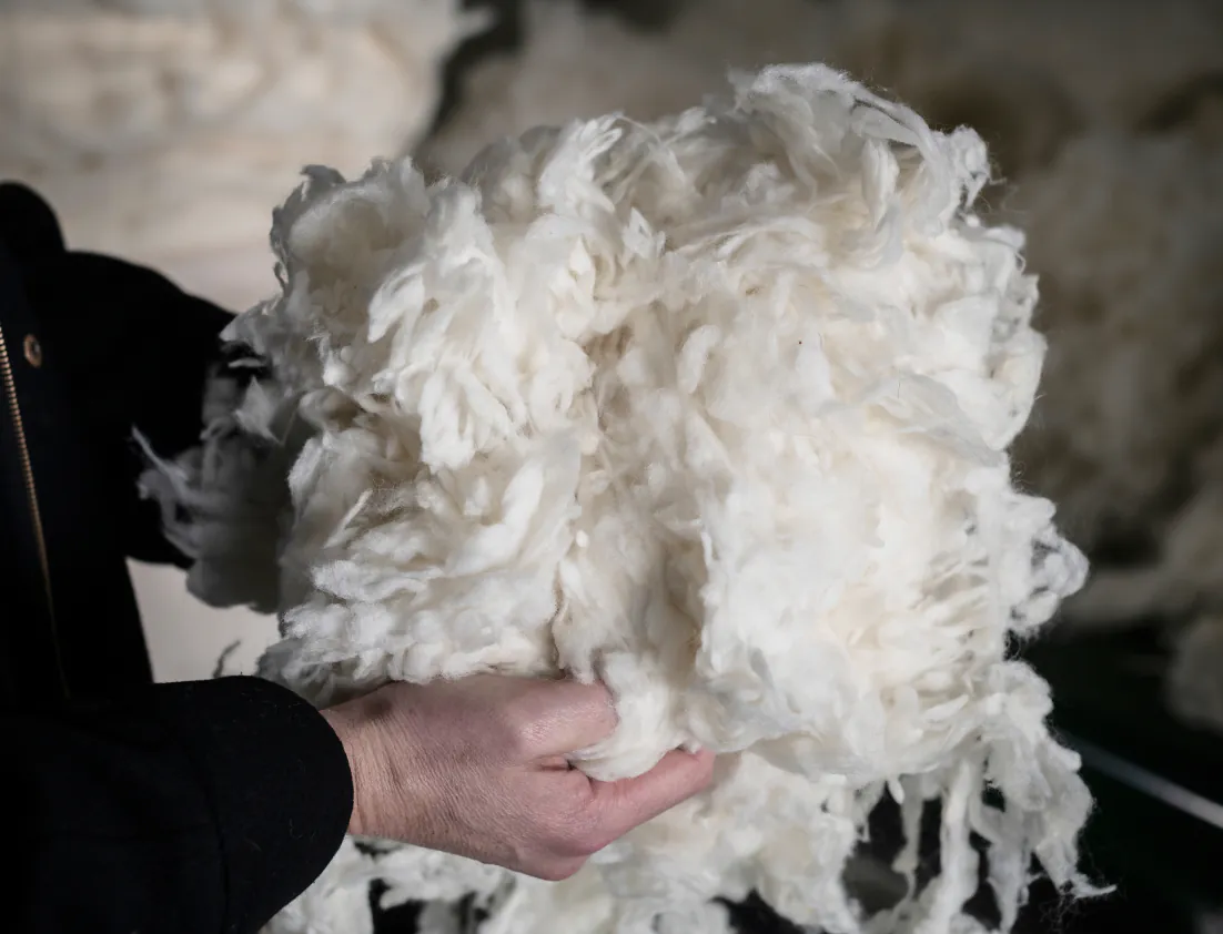 Minijumbuk - Case Study