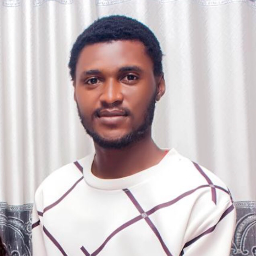 Ajibola Adeleke - Webflow