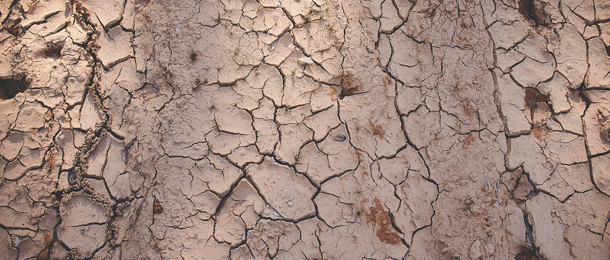 Searles | How to correct clay soils