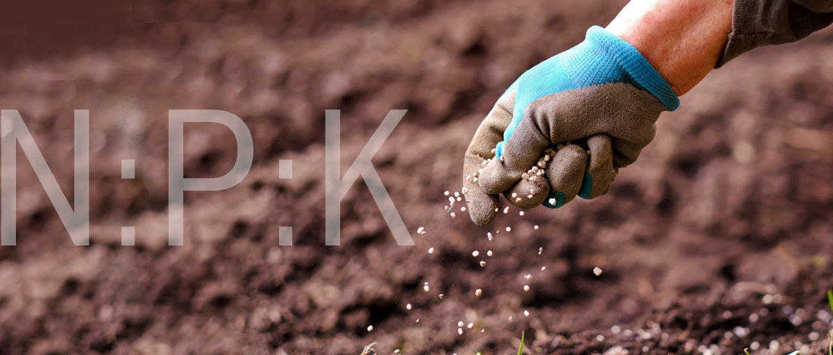 Searles | What is NPK ratio mean?