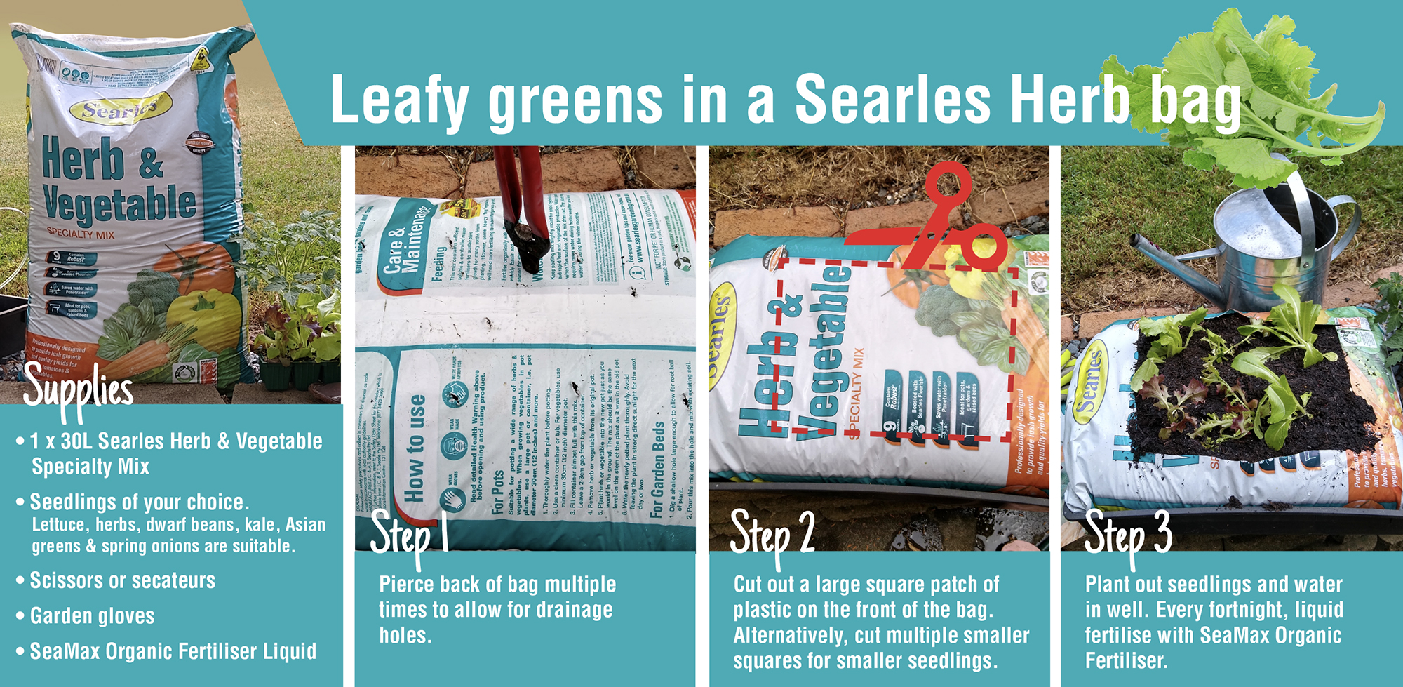 Searles | Vegetables in a soil bag