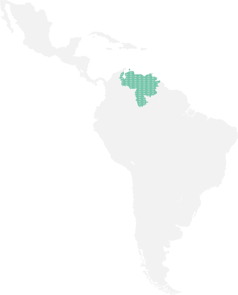 Integra Groupe - Integra Five Latam Dispatch