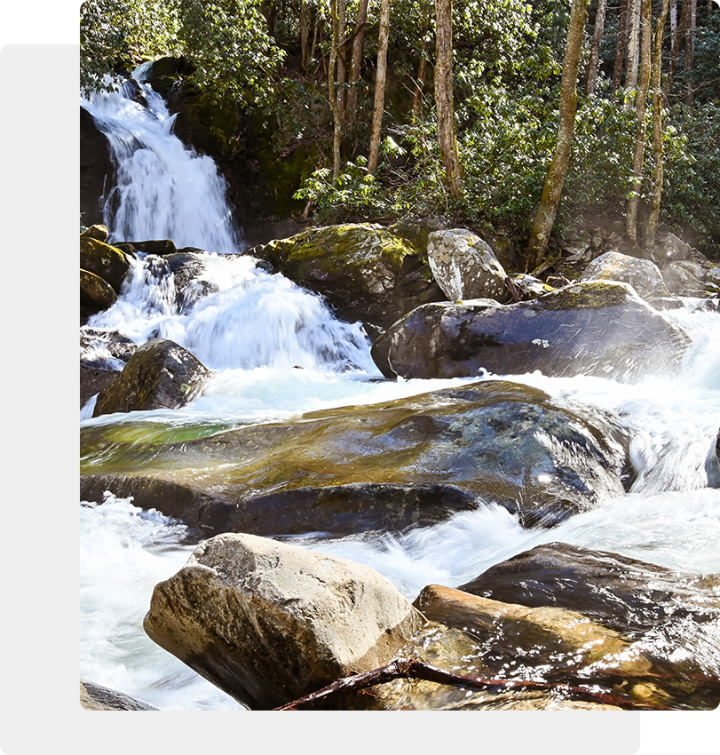 Duck River Watershed Society