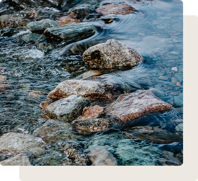 Duck River Watershed Society