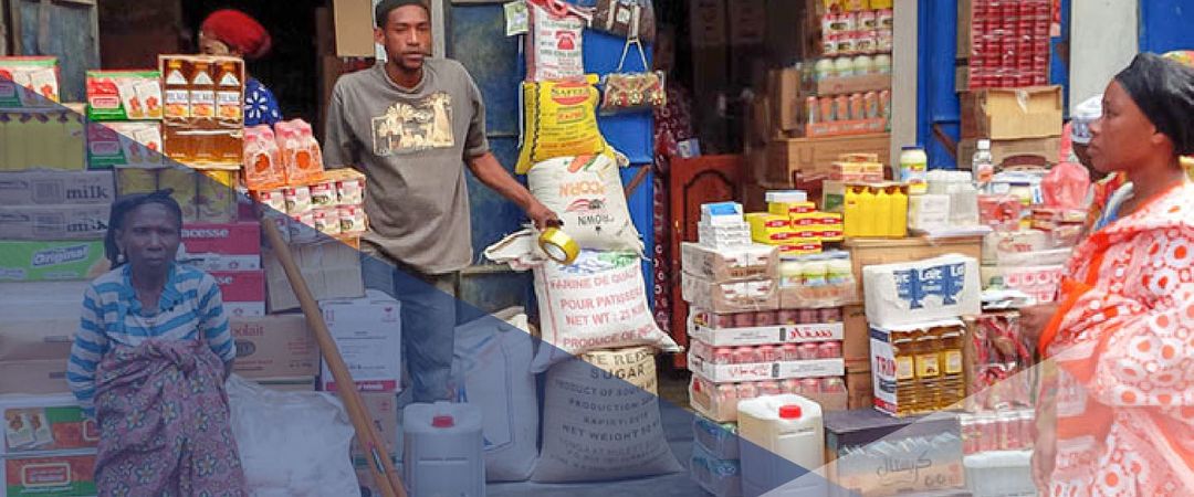 High Quality Commodities Import and Export Services