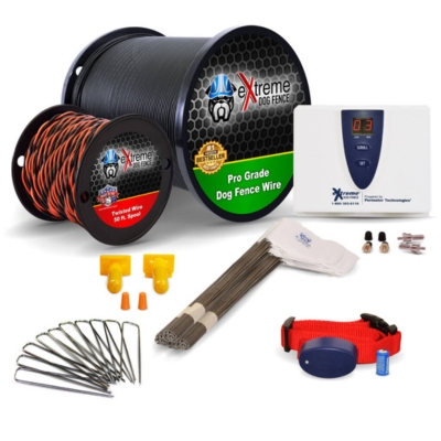 Best Invisible Dog Fences | Everything Labradors