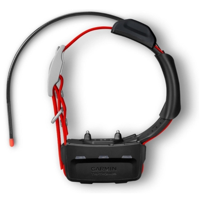 Best Garmin Dog Collars | Everything Labradors