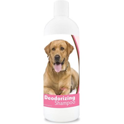 How To Deal With Your Labrador's Excessive Shedding