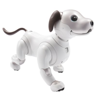 Best Robot Dogs | Everything Labradors
