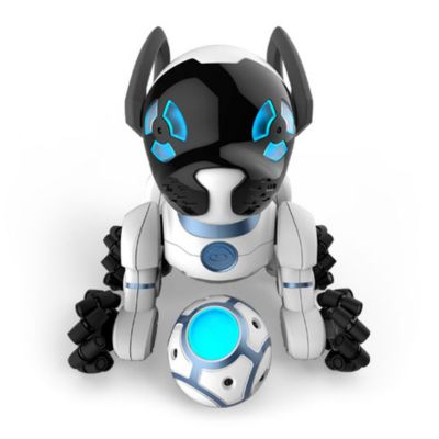 Best Robot Dogs | Everything Labradors