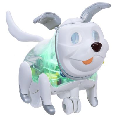 Best Robot Dogs | Everything Labradors