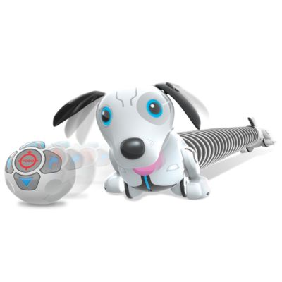 Best Robot Dogs | Everything Labradors