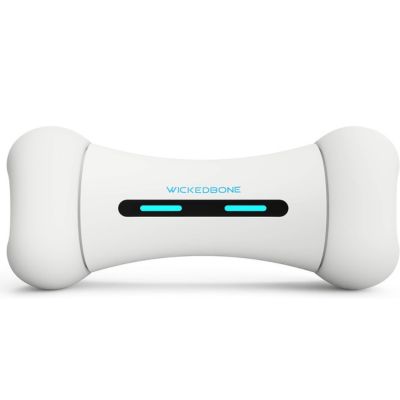 Best Electronic Dog Toys | Everything Labradors