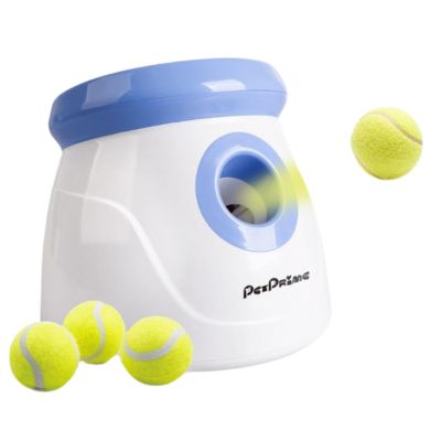 Best Automatic Ball Launchers For Dogs | Everything Labradors