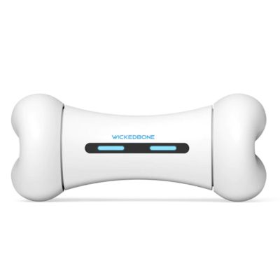 14 Dog Gadgets Only Tech-Savvy Pet Owners Will Appreciate