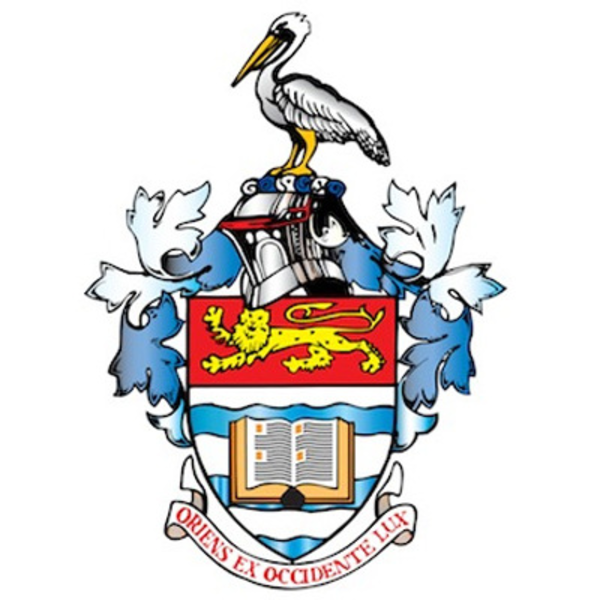 The Clara Lionel Foundation | 2021 Annual Report