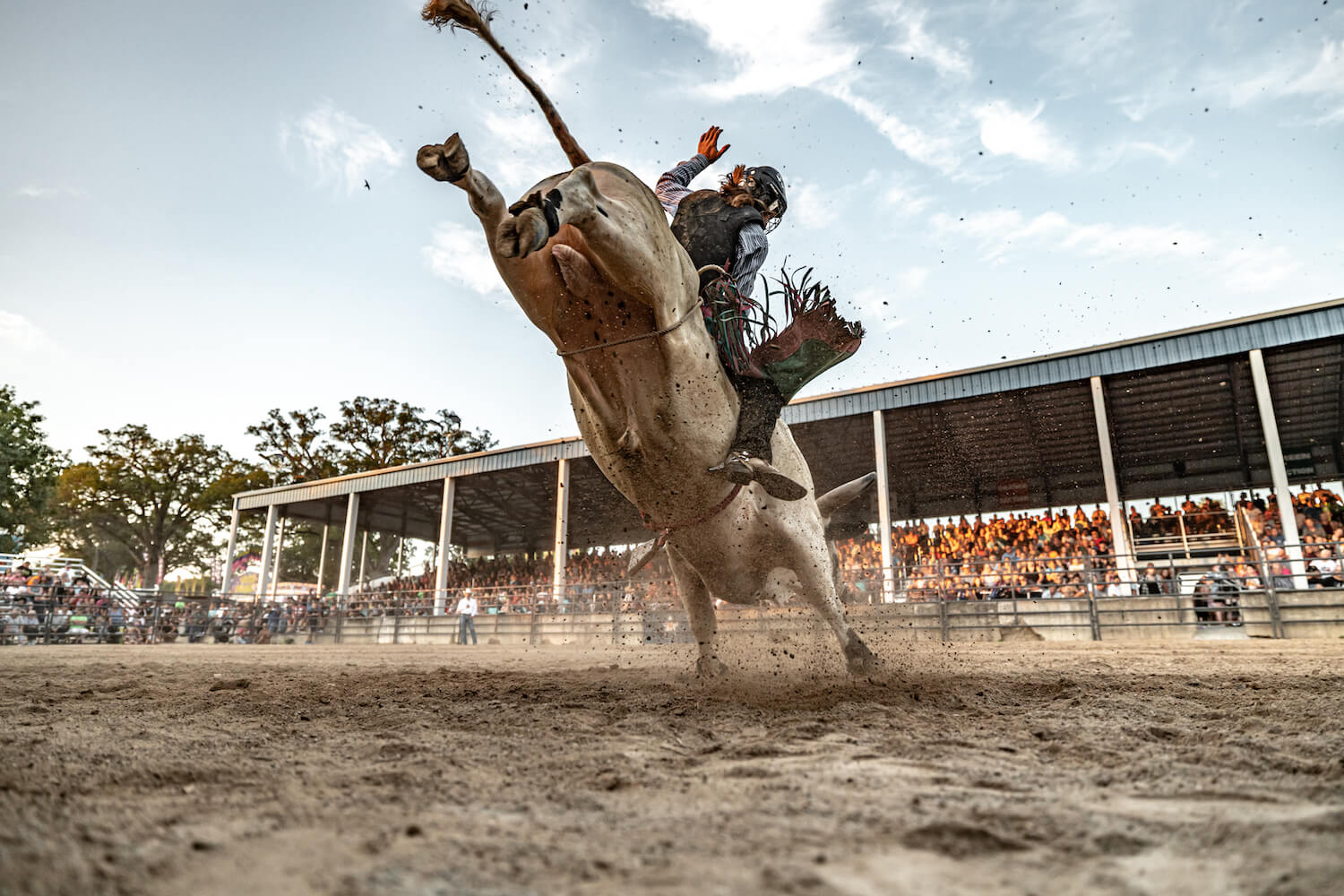 The Adventure Collector | Photographer & Videographer