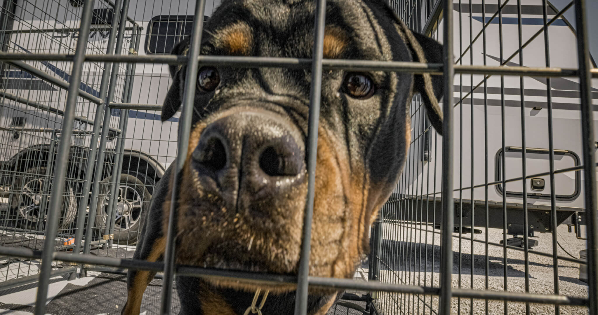 The Adventure Collector | Photographer & Videographer