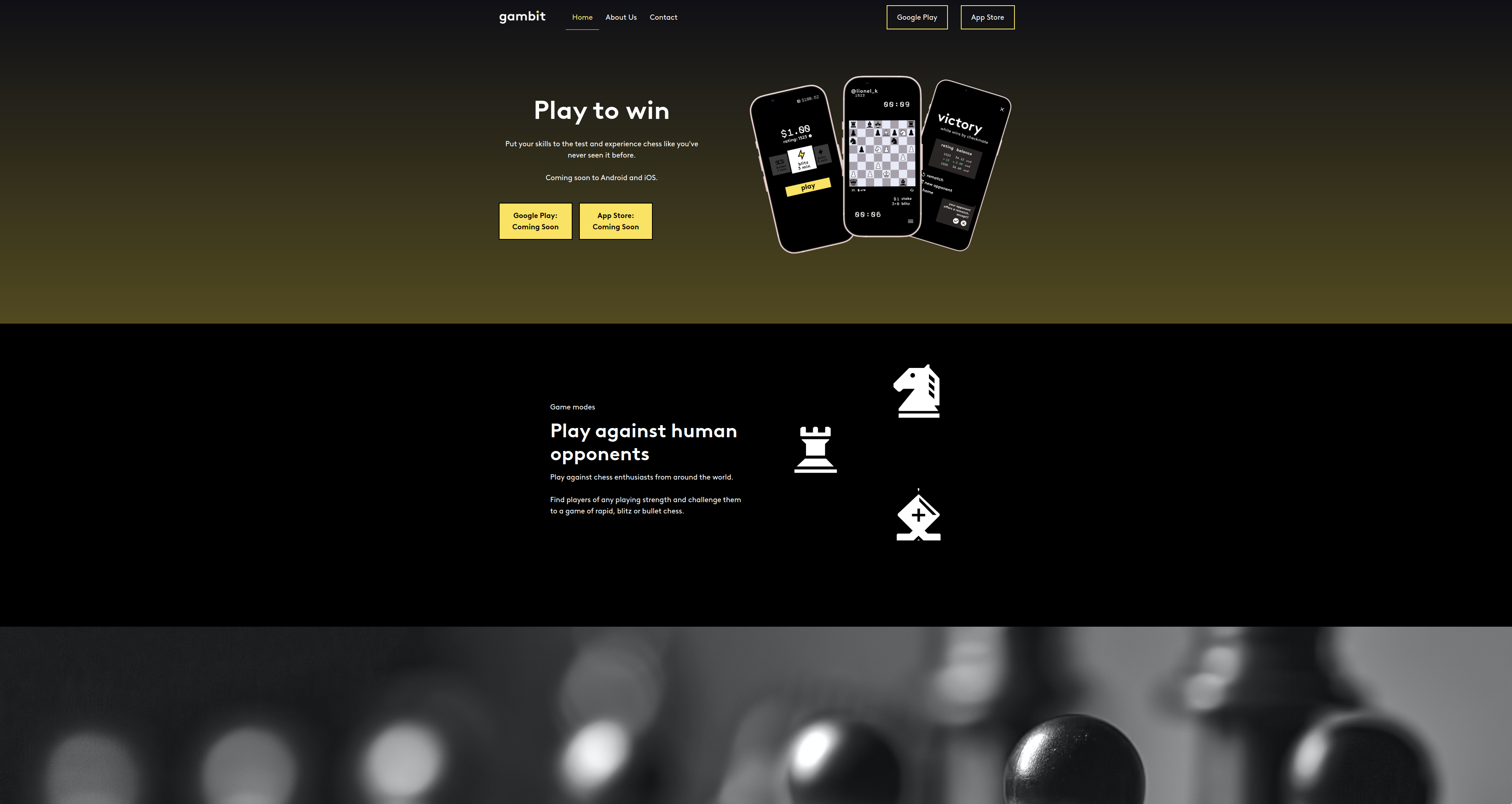 Gambit - Play to Win