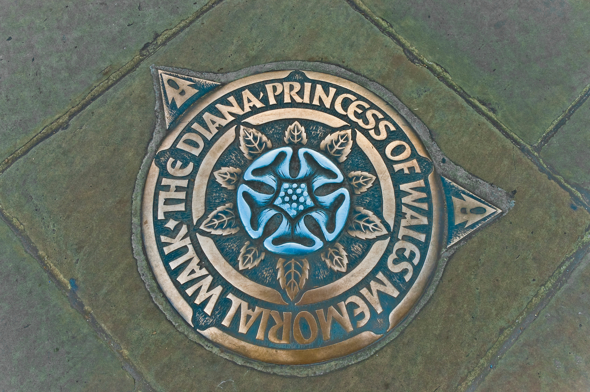 Princess Diana's magic of ethos, pathos, and logos