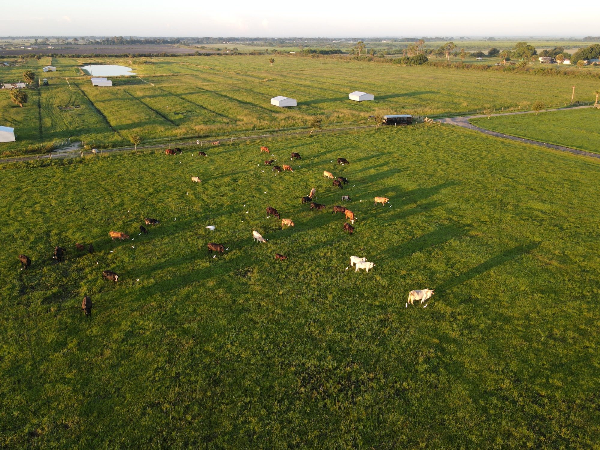 Welcome to Welcome to Circle C Farm ArgiCamping™ RV Park , brought to ...