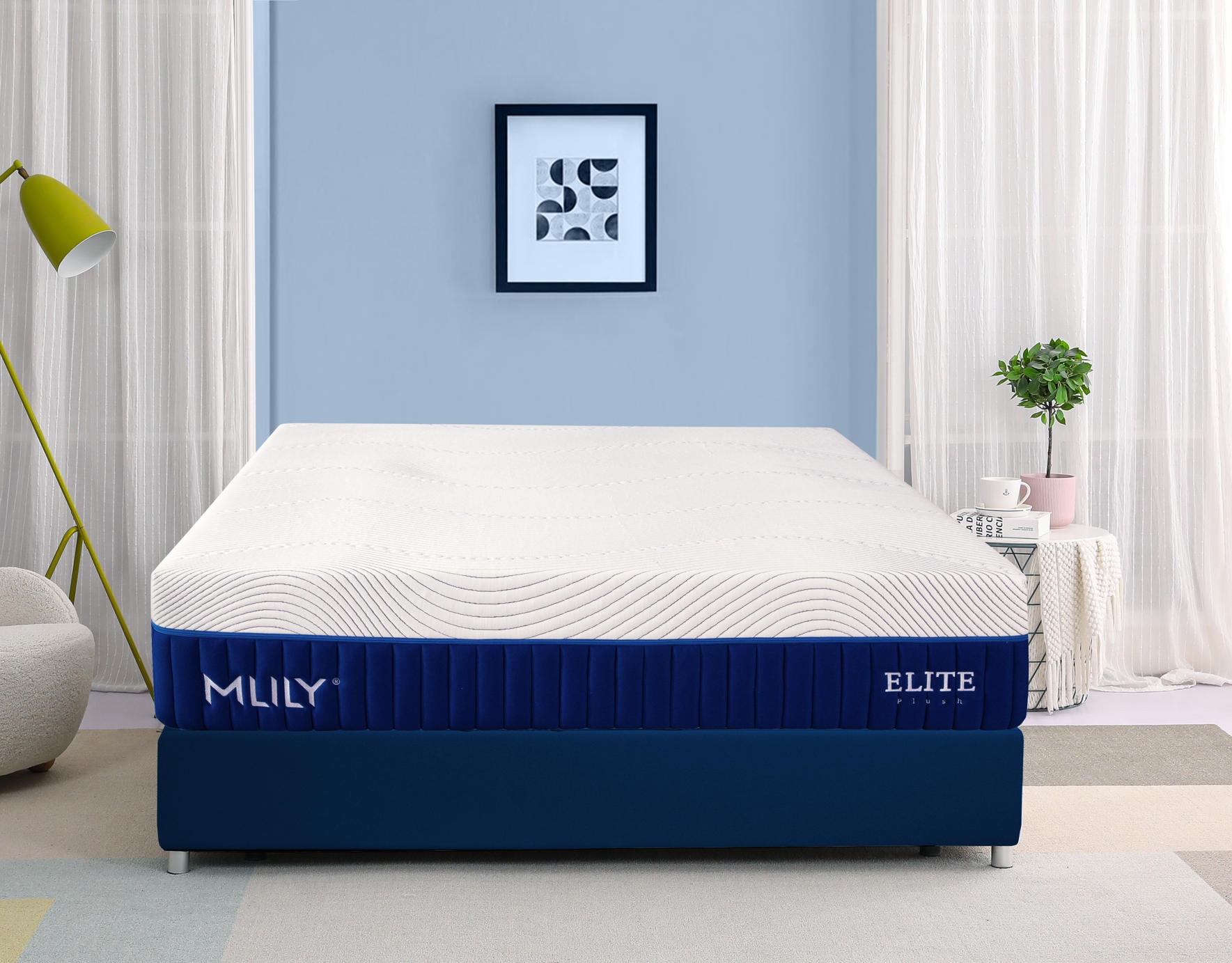 Elite Hybrid - Mlily Australia