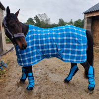 Stratton Field Livery Stables