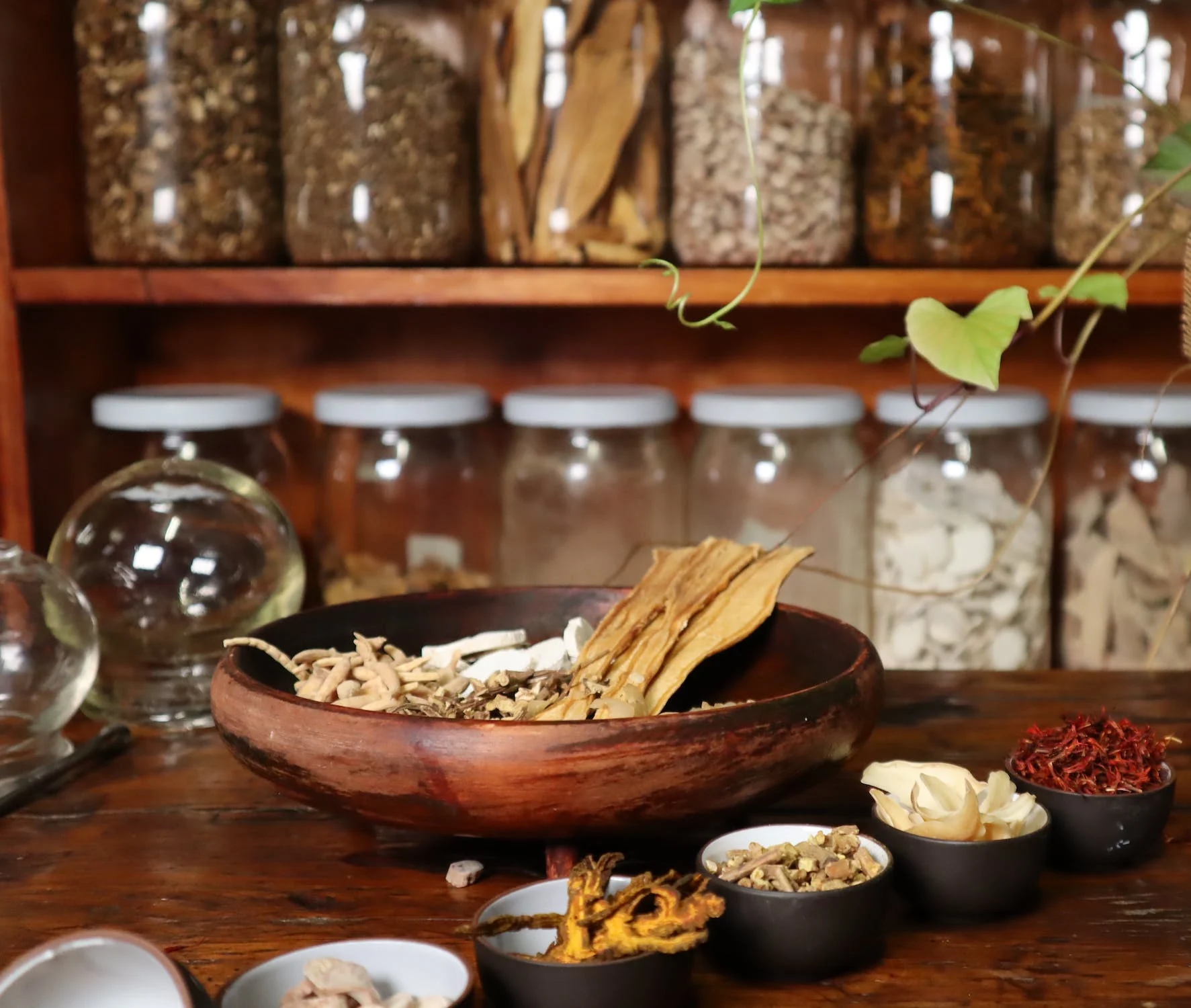 Uncovering Holistic Health with Traditional Chinese Medicine | Joyful TCM