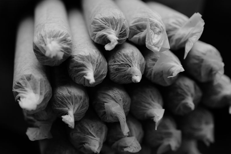 Best Montana Cannabis Dispensary | Collective Elevation