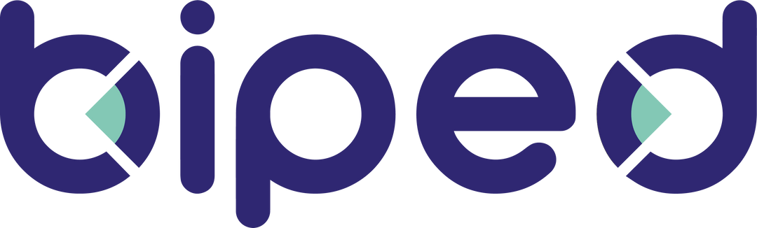 biped | Smart copilot for blind and visually impaired people