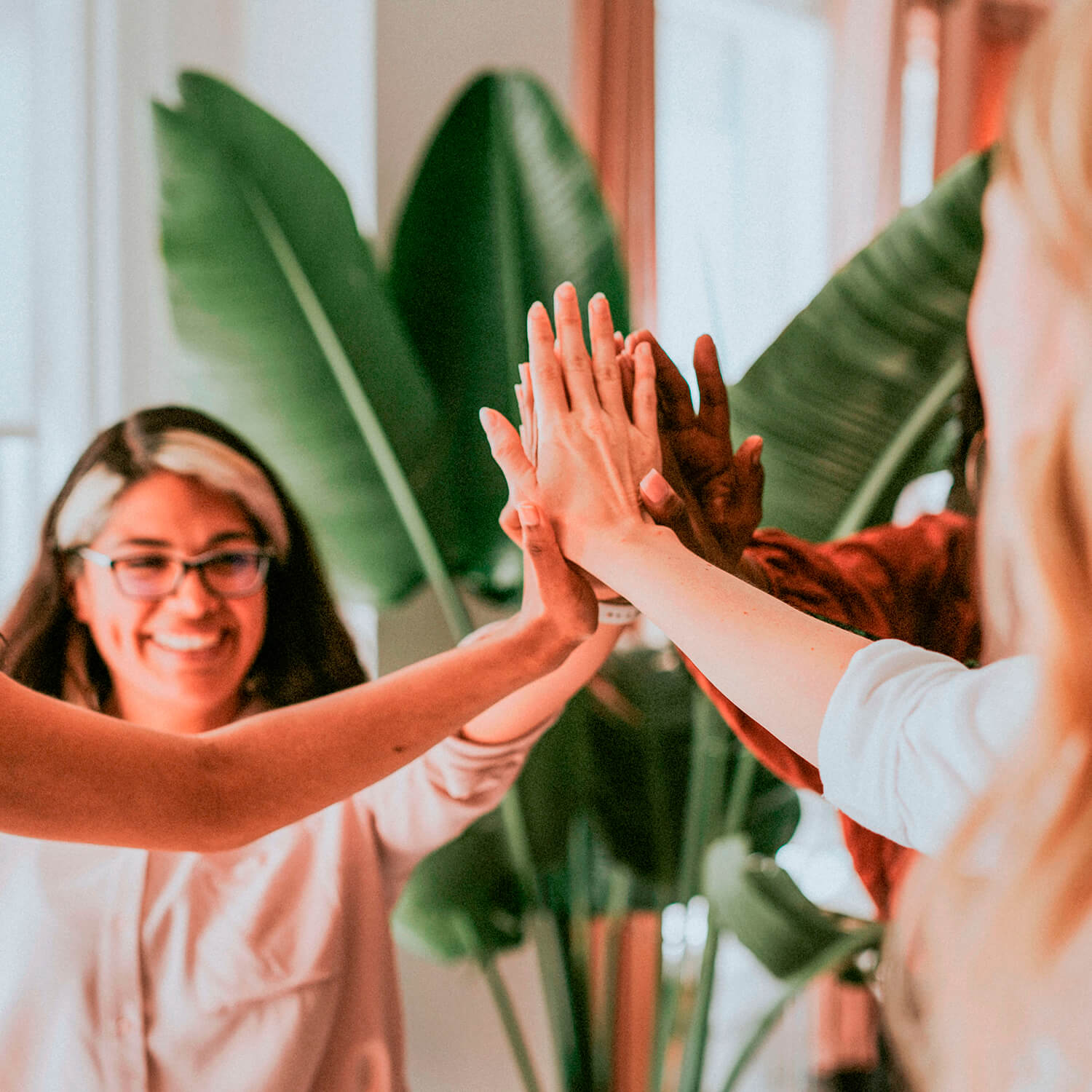 Chrysalis Centre - Support for females