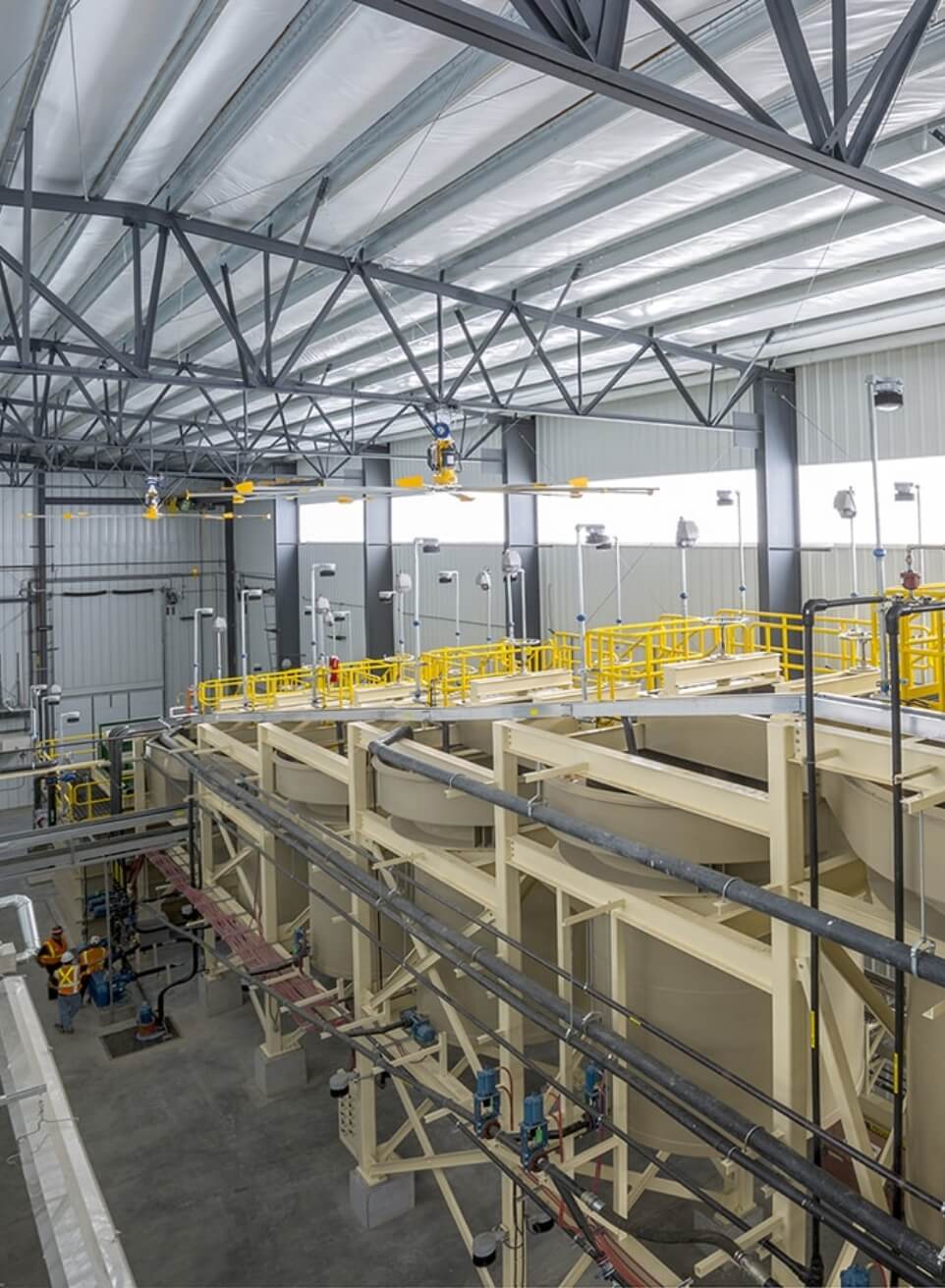 Mulligan Branding Portfolio - R-Seal