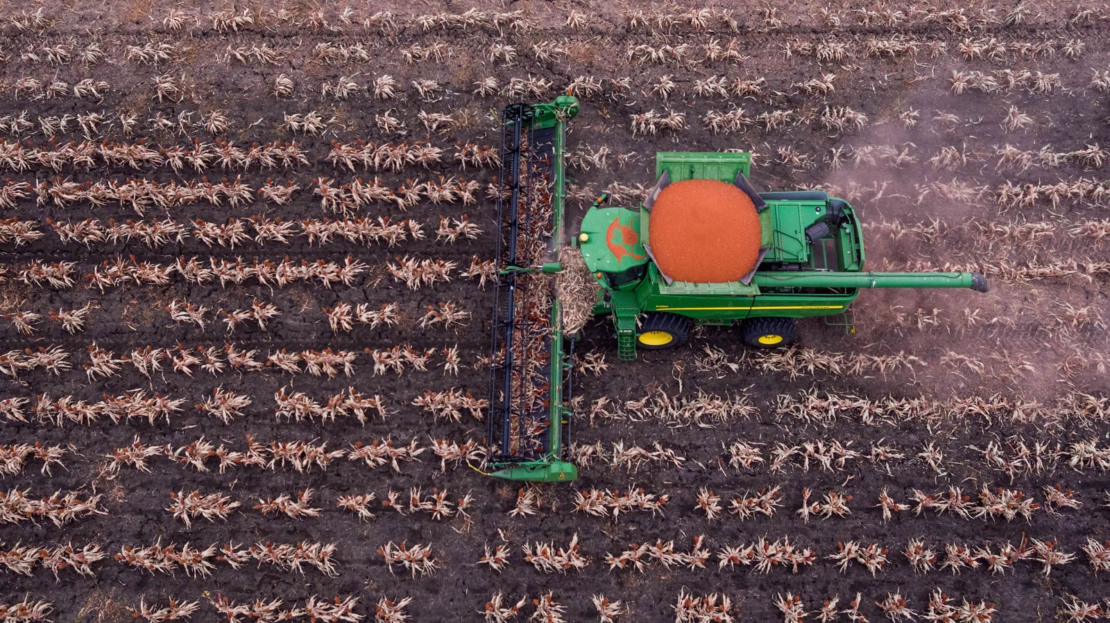 AgriDigital | Better outcomes for grain businesses & their communities